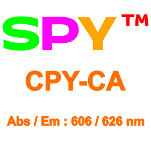 CPY-CA